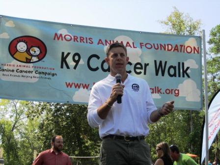 Dogs ruled last Sunday during event for good cause - Blue Streak