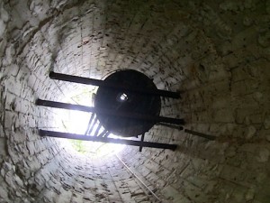 Savage Garden: A magical Fountain City treasure - Blue StreakBlue Streak