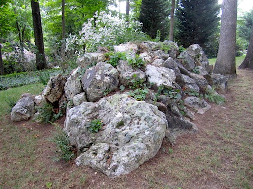 Savage Garden: A magical Fountain City treasure - Blue StreakBlue Streak