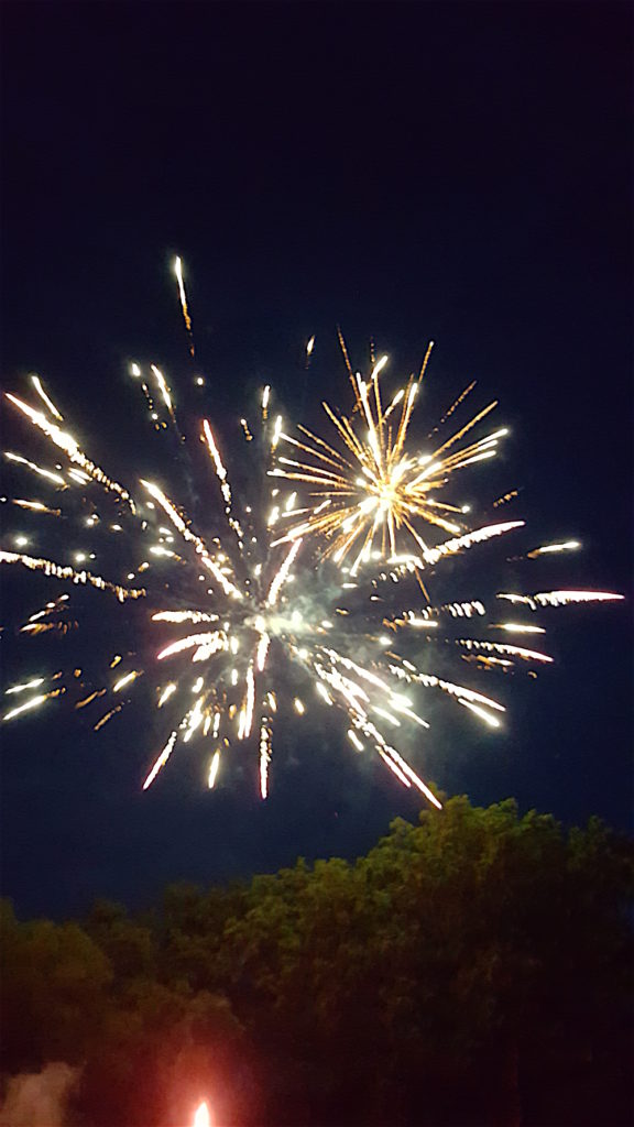 Fun, fireworks and fowl to celebrate Fourth - Blue StreakBlue Streak