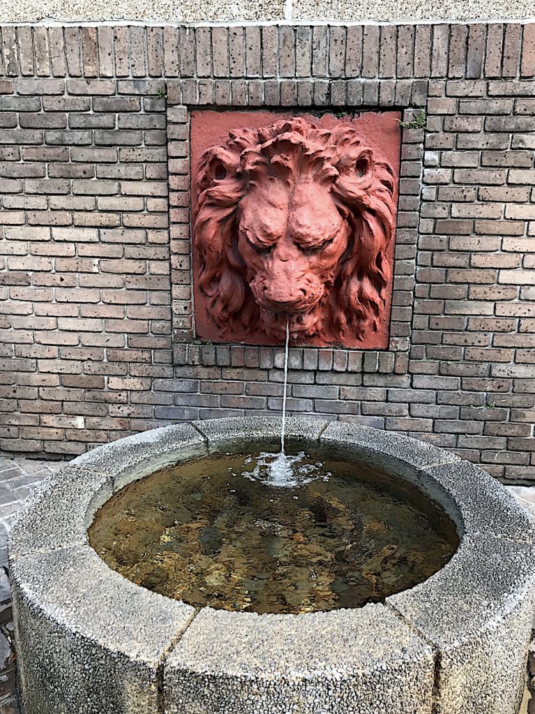 Getting satiated in Savannah - Blue StreakBlue Streak