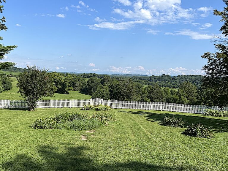 Strong Stock Farm: An idyllic evening for a good cause - Blue ...