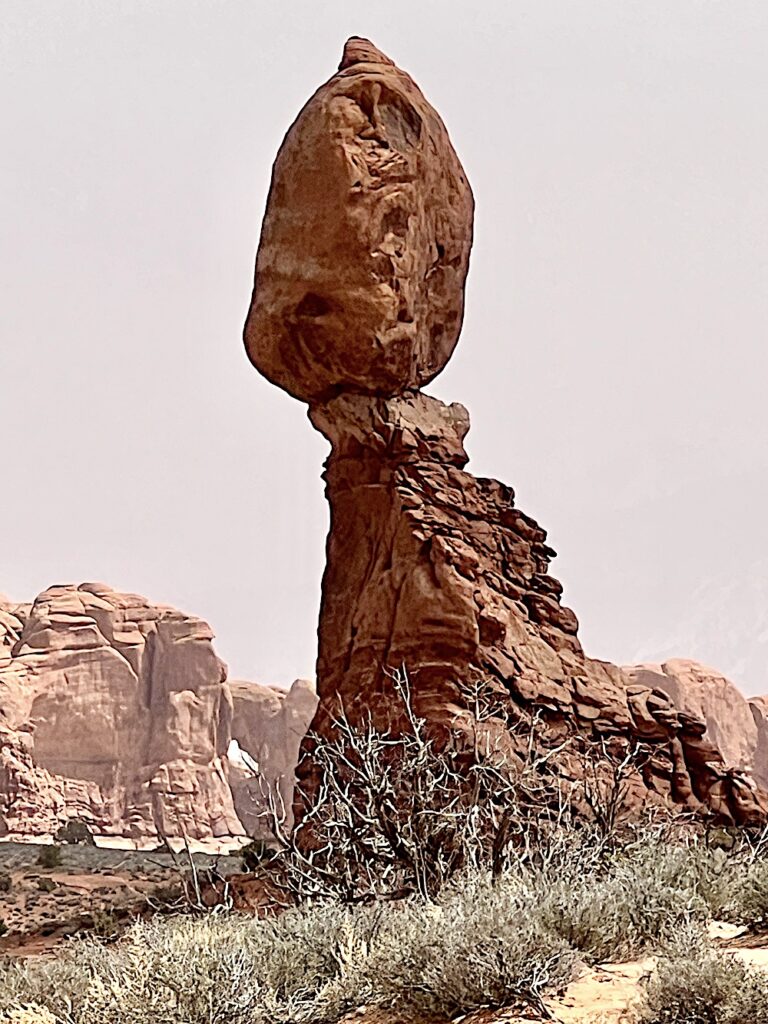 Blue Streak - A lens into Knox life by Cynthia Moxley