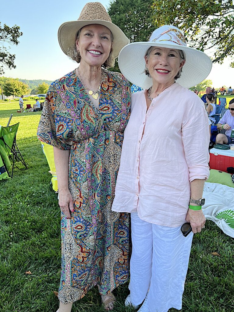 Lakeshore Park Picnic just shouts, "Summer!" - Blue StreakBlue Streak