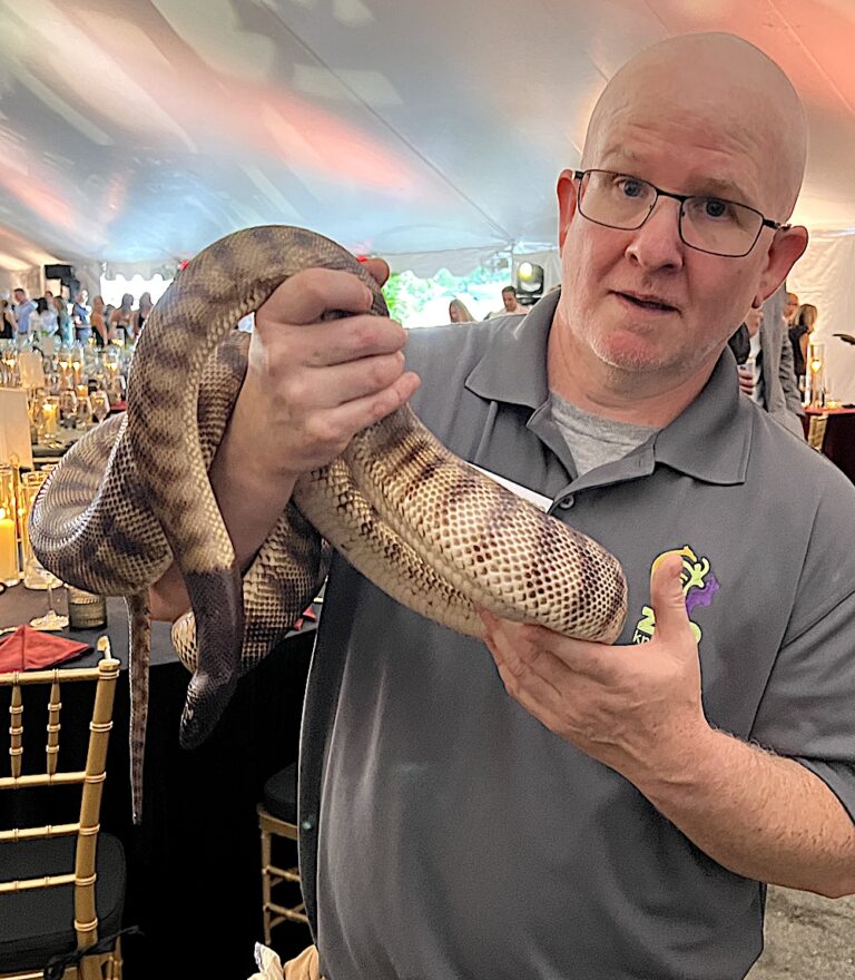 Zoofari '26: Big fun (despite the snakes)! - Blue StreakBlue Streak